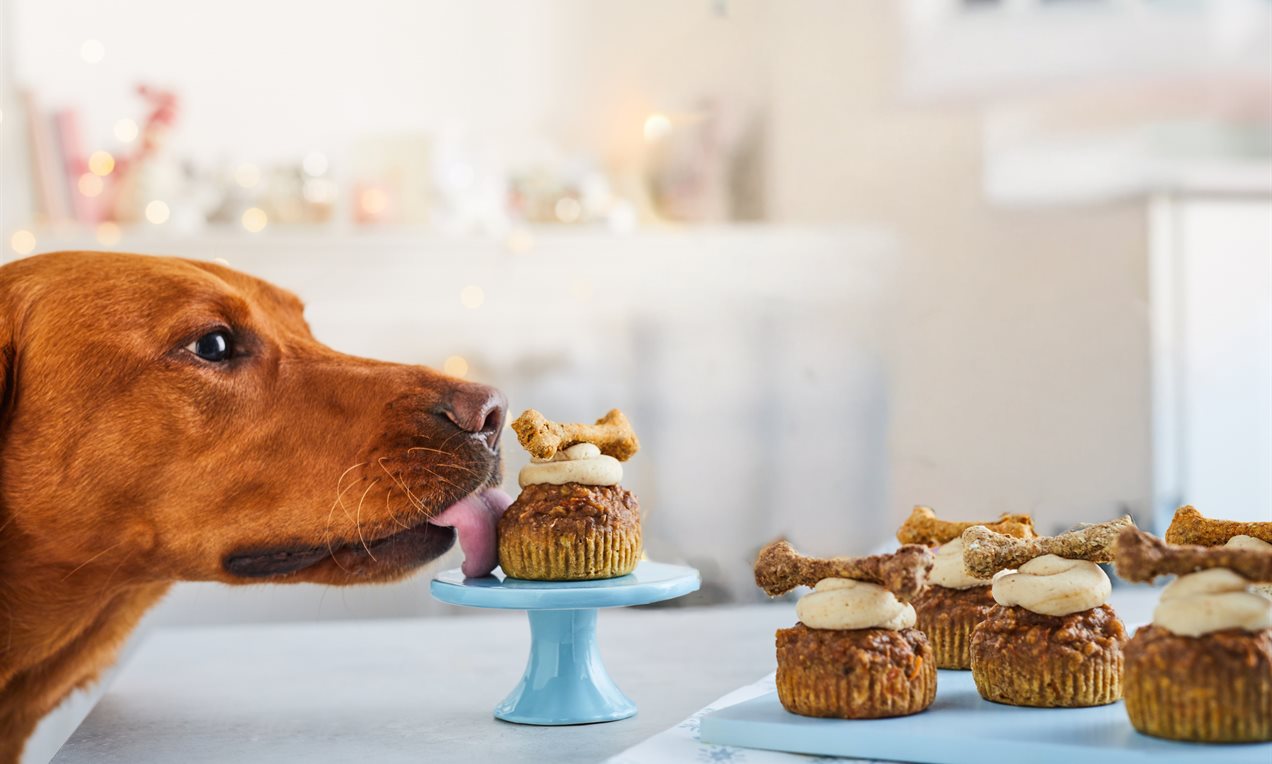 Pupcakes Resepti | Dr. Oetker